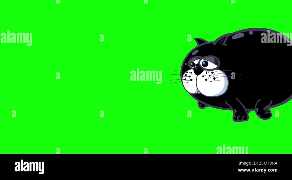 Cartoon white fat cat walk and stop big greenbox isolated Stock Video ...