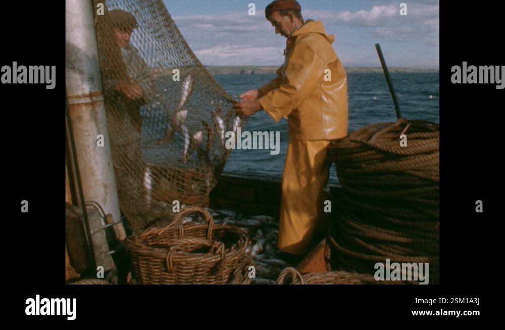 1960s: Two fishermen in slickers stand on side of fishing boat, pulling ...
