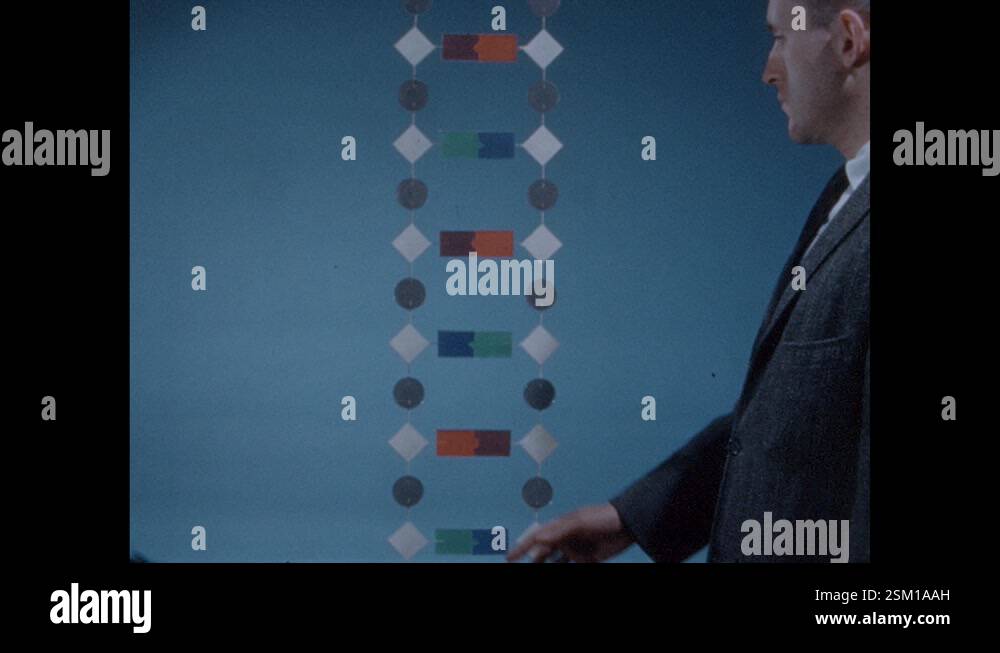 1960s: A DNA display with a ladder-like chain of colored shapes. A man ...