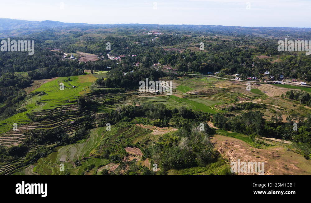 Amazing Landscapes Of Rice Field Terraces Near Rural Villages In Sumba ...