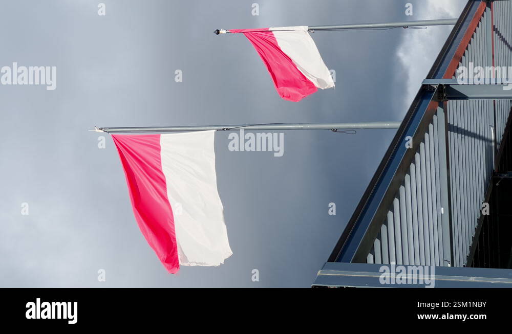 Flags of principality of Monaco in the wind at sunny weather, the port ...