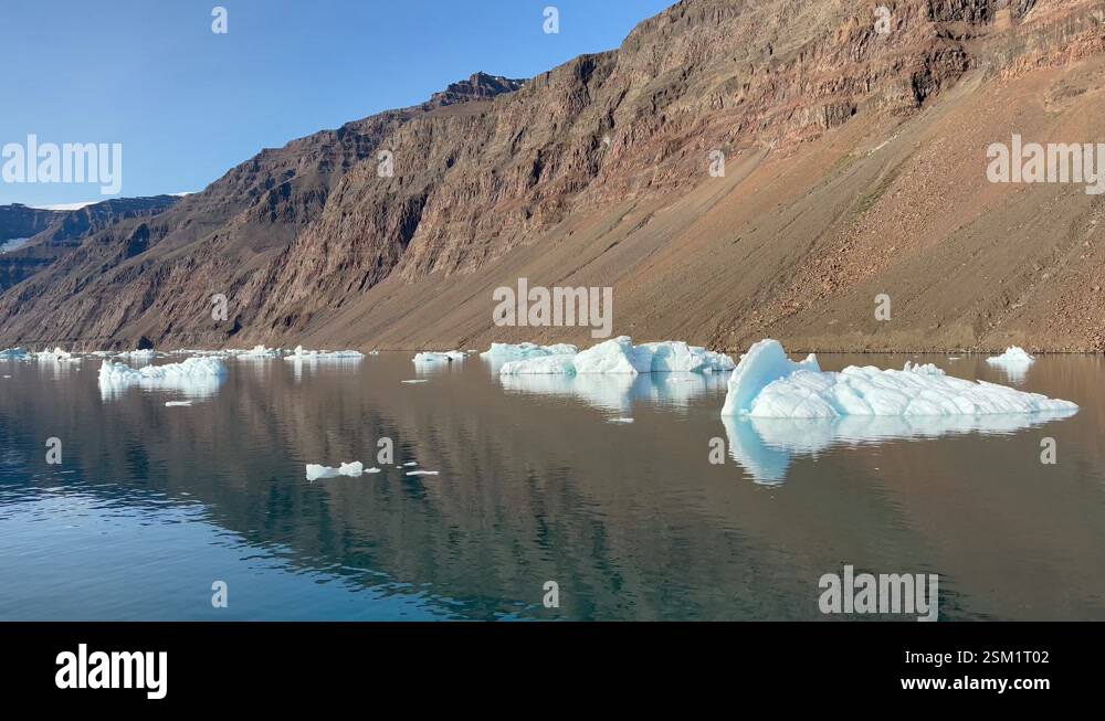 Ice blocks are floating by in the mirror-smooth water in Vikingebugt ...