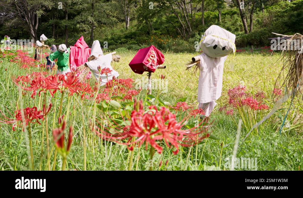 Red scarecrow Stock Videos & Footage - HD and 4K Video Clips - Alamy