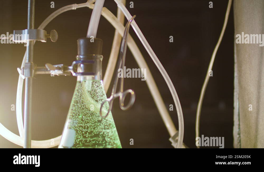 Tilt down laboratory tubbing on Erlenmeyer flask with green bubbly ...