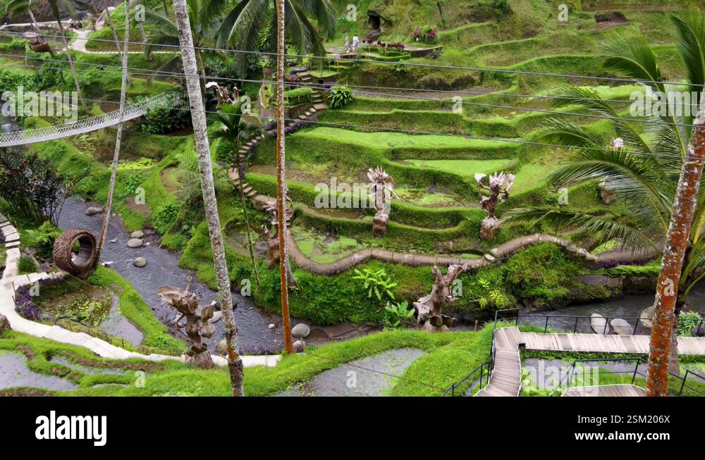 Terraces of Alas Harum Park with its Photo spots and Goddess of Rice ...