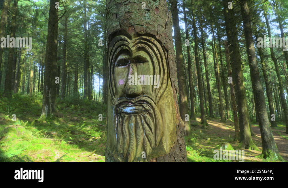 Tree trunk with face carved into it and sunny background forest on ...