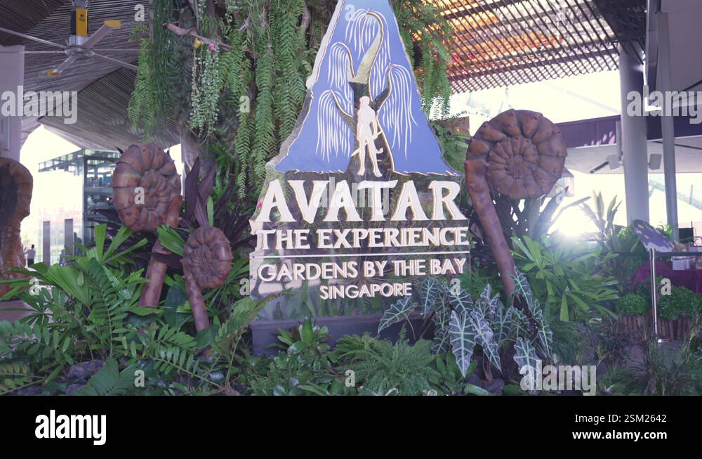 Avatar the Experience at Gardens by the Bay in Singapore Stock Video ...