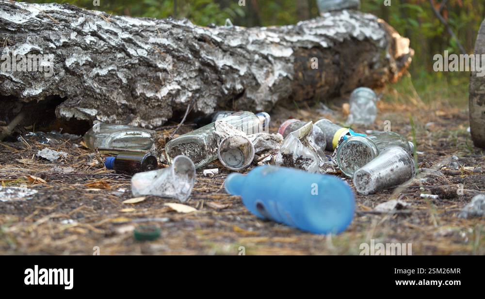 People left trash in the forest. Abuse of environment, environmental ...
