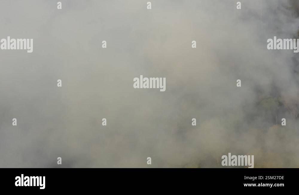 drone shoot of a large wild fires in the amazon rain forest Stock Video ...