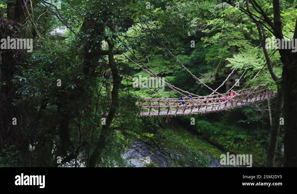 Vine Bridge in the Jungle, Iya Valley Tokushima Japan Stock Video ...