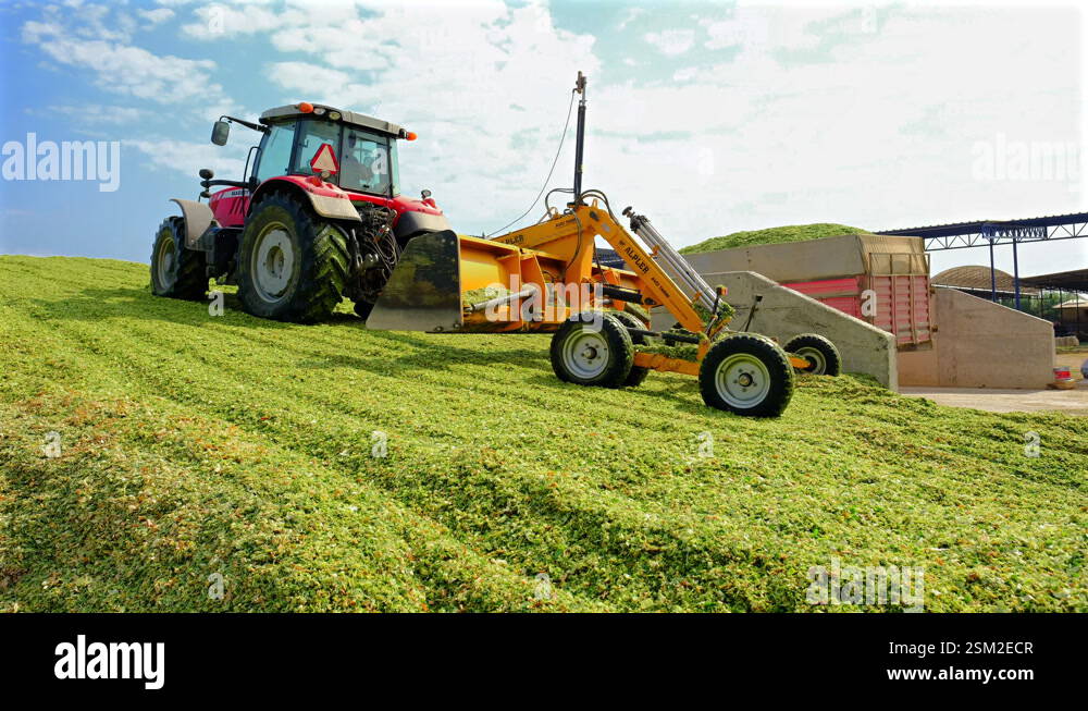 Tractor silage corn Stock Videos & Footage - HD and 4K Video Clips - Alamy