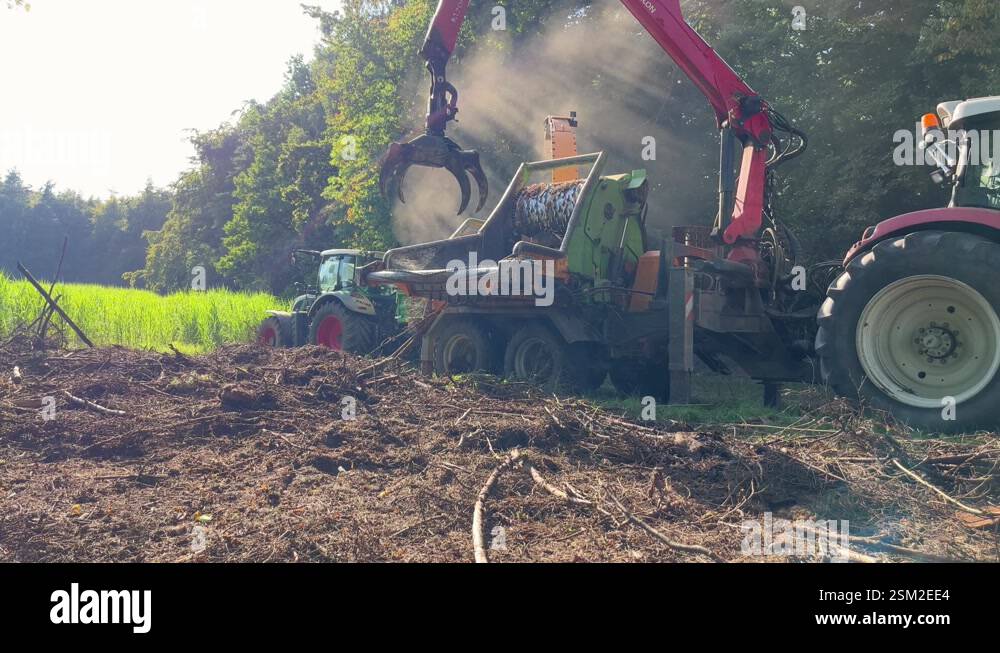 Using grabber Stock Videos & Footage - HD and 4K Video Clips - Alamy