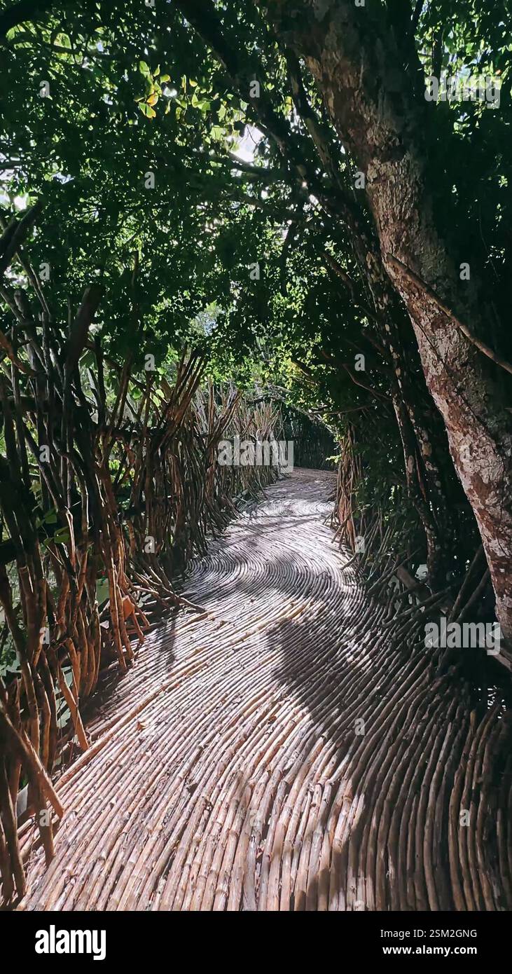 path in the woods,garden, path, park, tree, nature, trees, summer Stock ...