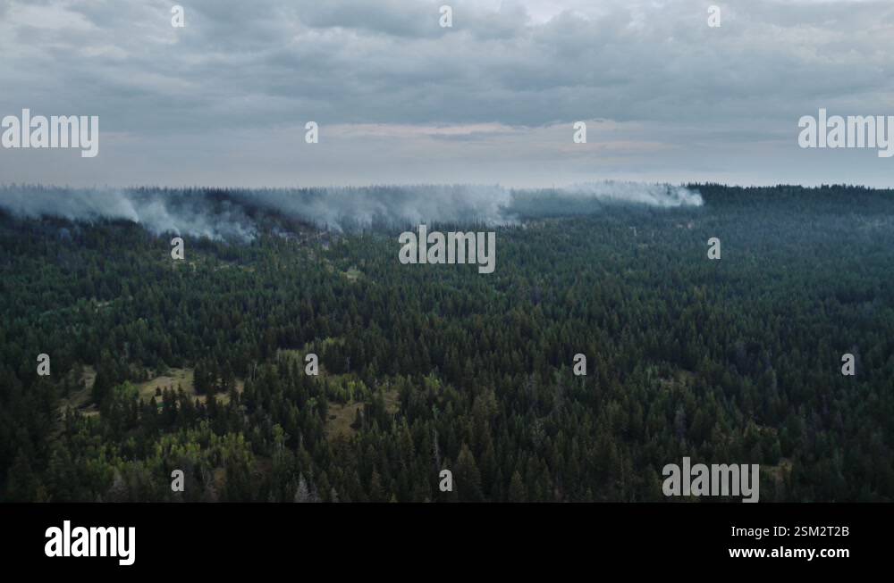 Forest Fire Smoke Clouds Helicopter Park Service Control Burn Wild ...