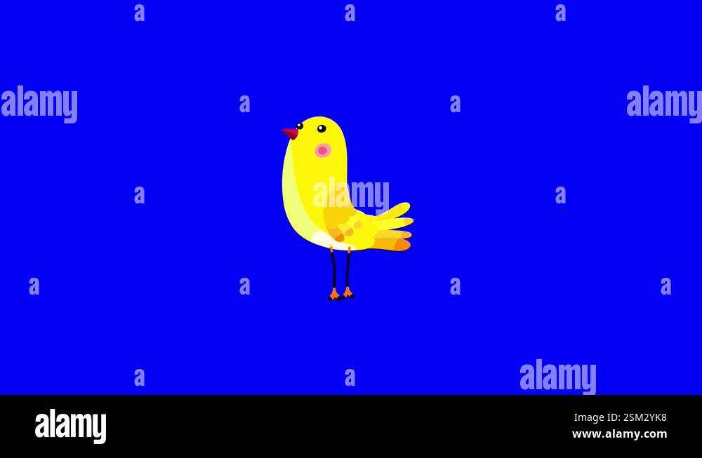 Canary bird yellow cartoon animation character bluebox one step move ...