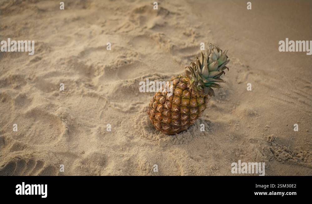 Fresh ripe pineapple on tropical beach in sand with foot traces Stock ...