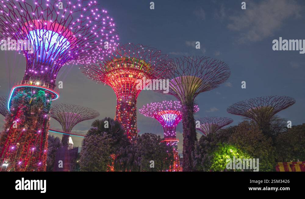 Marina Bay, Singapore time lapse of Super Tree at Gardens by The Bay ...