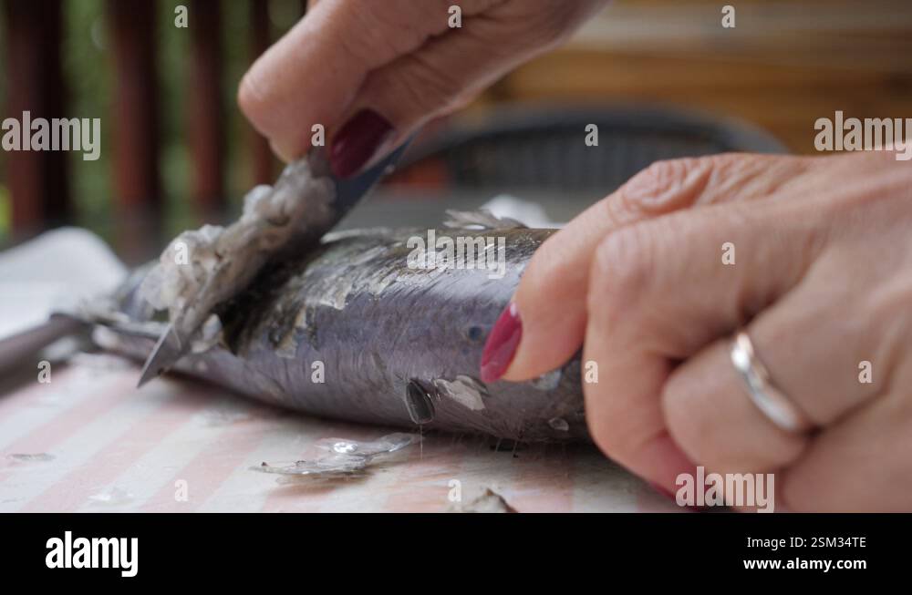 Woman peel off fish scales with kitchen knife, static side view Stock ...