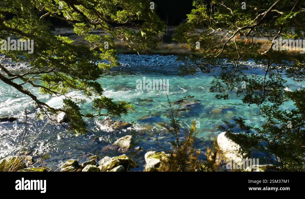 clear blue river in New Zealand Stock Video Footage - Alamy