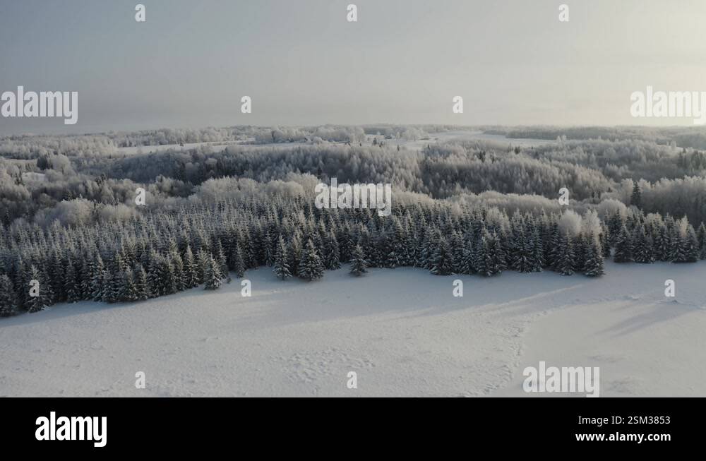 Beautiful Forest Edge covered in Snow on a Winter Day. Aerial Stock ...