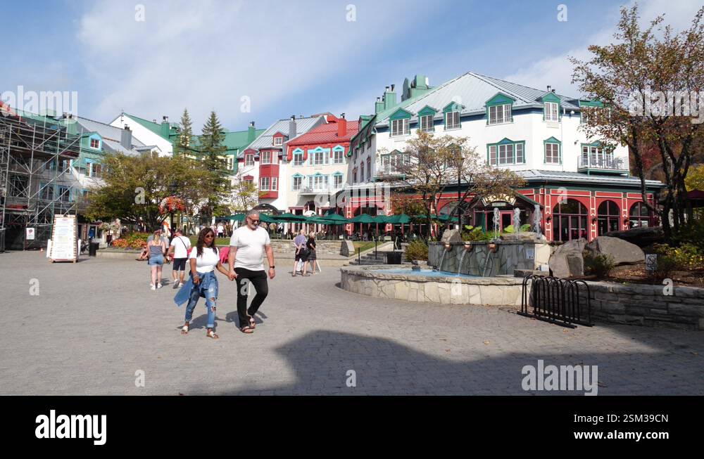Square canada Stock Videos & Footage - HD and 4K Video Clips - Alamy
