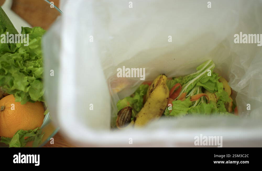 Ecology compost supply kitchen waste sorting waste vegetable peels from ...