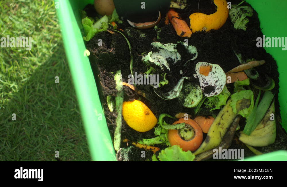 Composting and composted soil from kitchen ,food waste, fruit vegetable ...