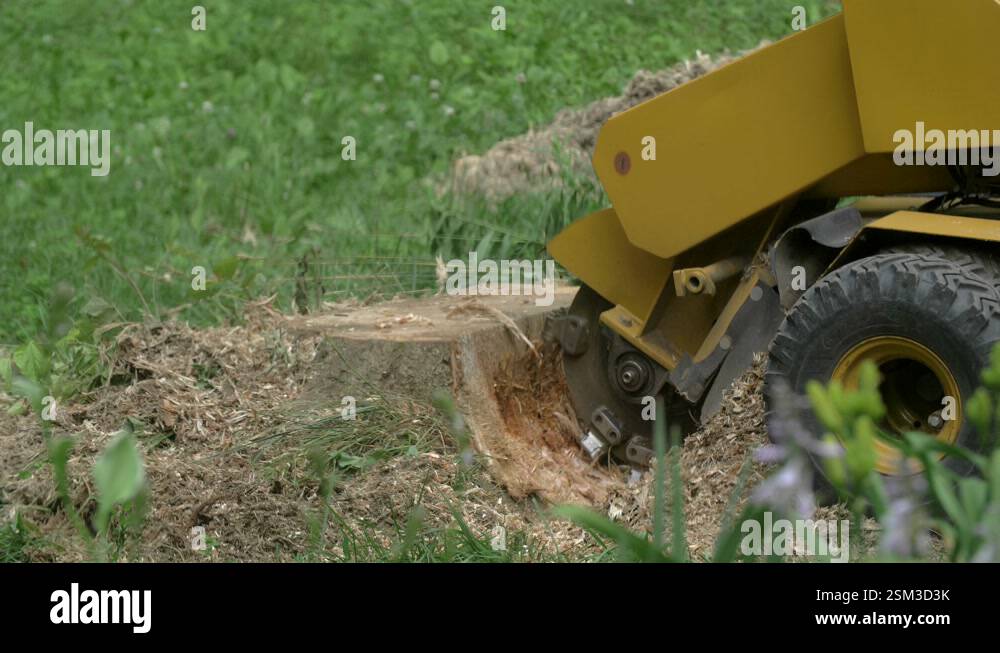 Chewing up Stock Videos & Footage - HD and 4K Video Clips - Alamy