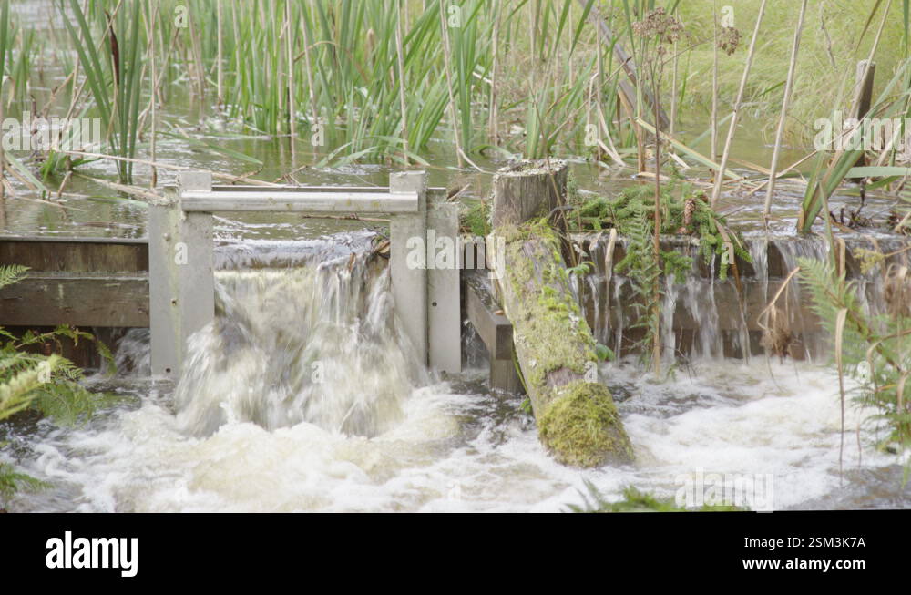 Flow control structure Stock Videos & Footage - HD and 4K Video Clips ...