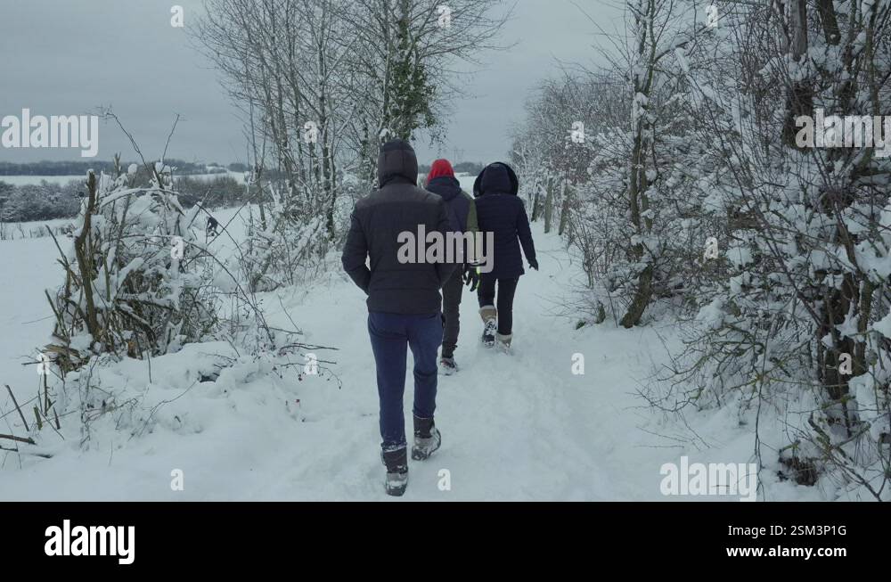 Group of friends trudge walking and hiking through fresh snowfall on ...