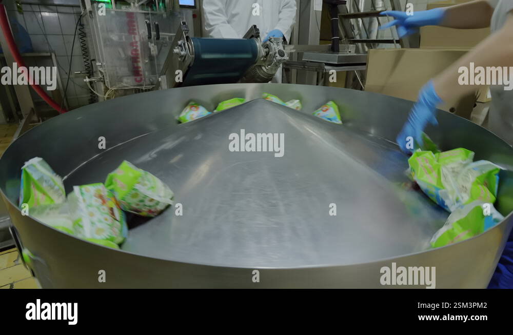 Packaging cottage cheese into cardboard boxes at the industrial dairy ...
