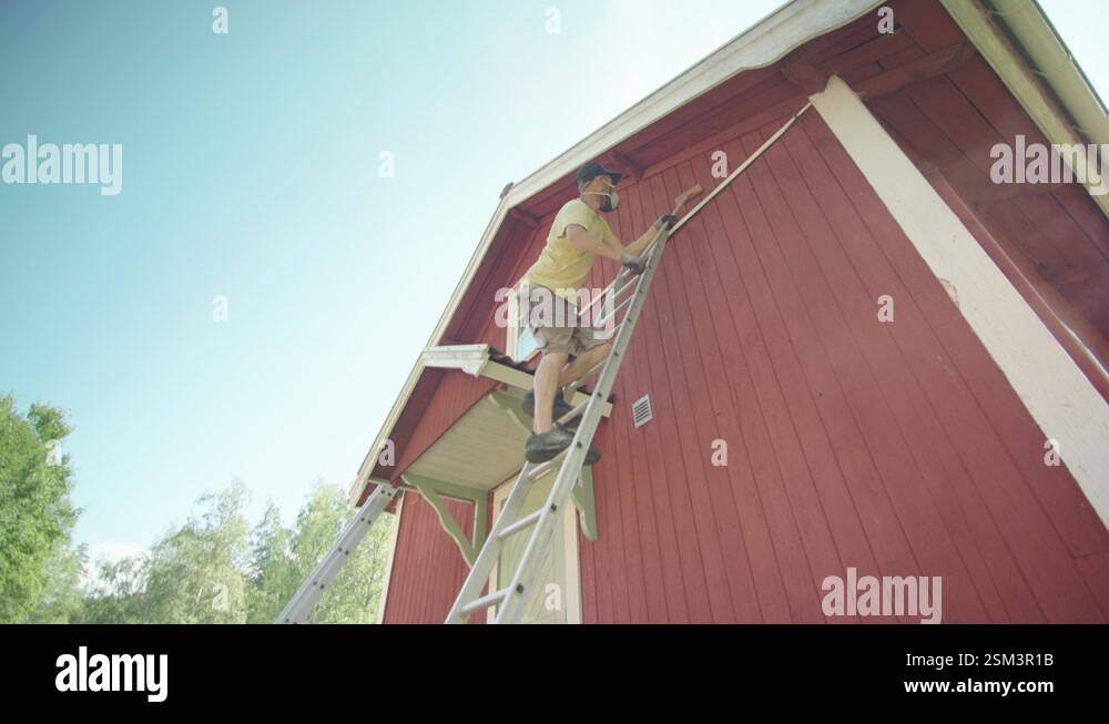 Man on ladder brushing off peeling paint from falu red house, upwards ...