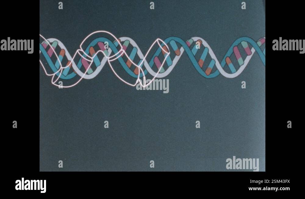 1980s: Illustration of a DNA strand. Sections are marked. Chain of ...