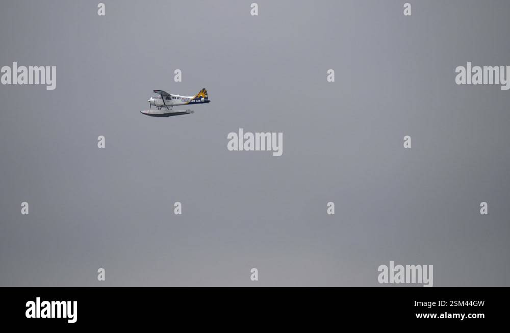 A Single Engine Beaver Seaplane Flying with an Overcast Sky Background ...