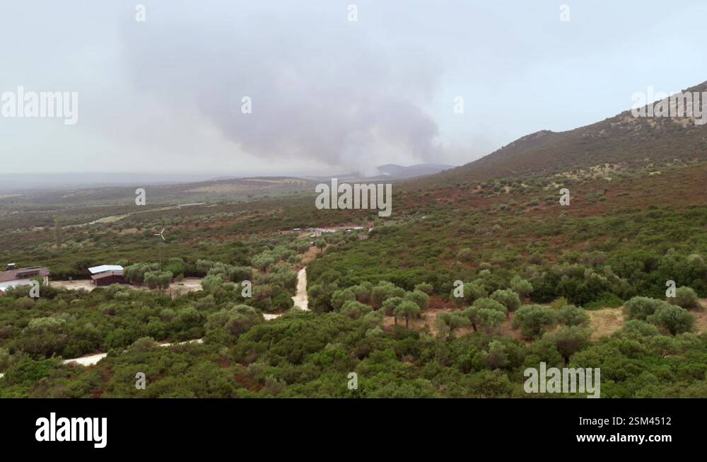 Drone Aerial over low bush Wildfire Flames Forest Fire Brush Fire ...