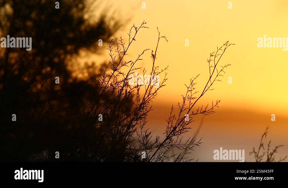 An ideal background for any project with wonderful colors and the wind ...