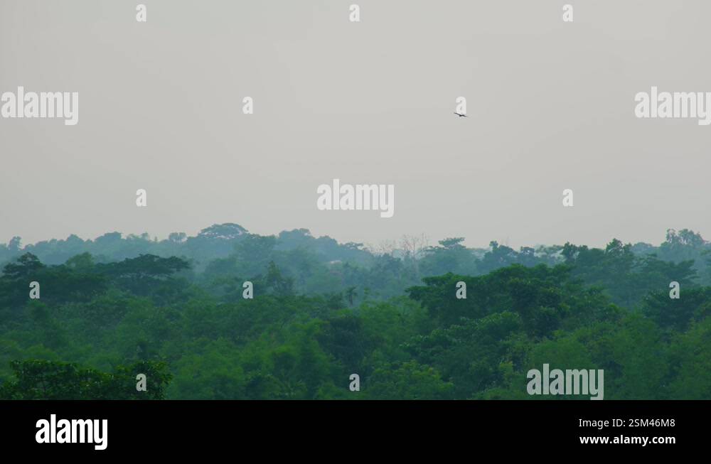 Eagleseyeview Stock Videos & Footage - HD and 4K Video Clips - Alamy