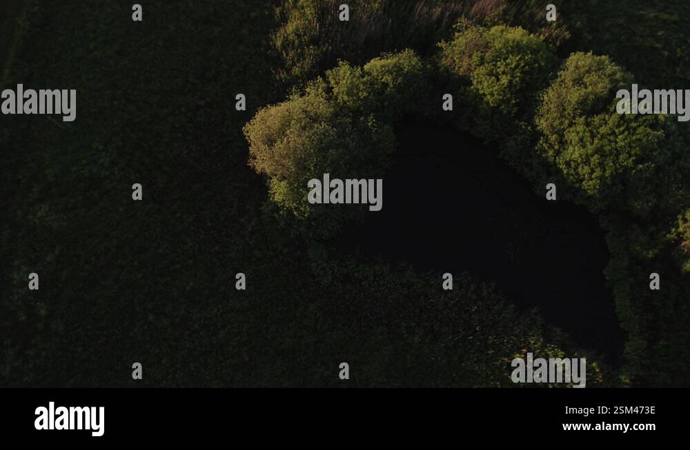 Spinning and Zoom Out Aerial View of a Small Pond of Water on a Field ...