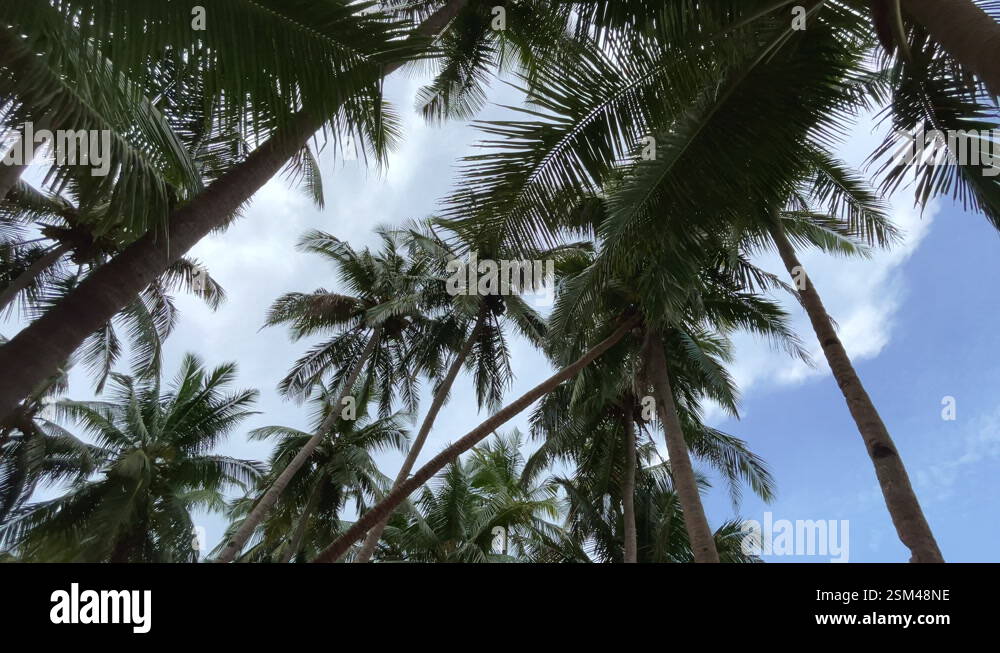 Sky goa Stock Videos & Footage - HD and 4K Video Clips - Alamy