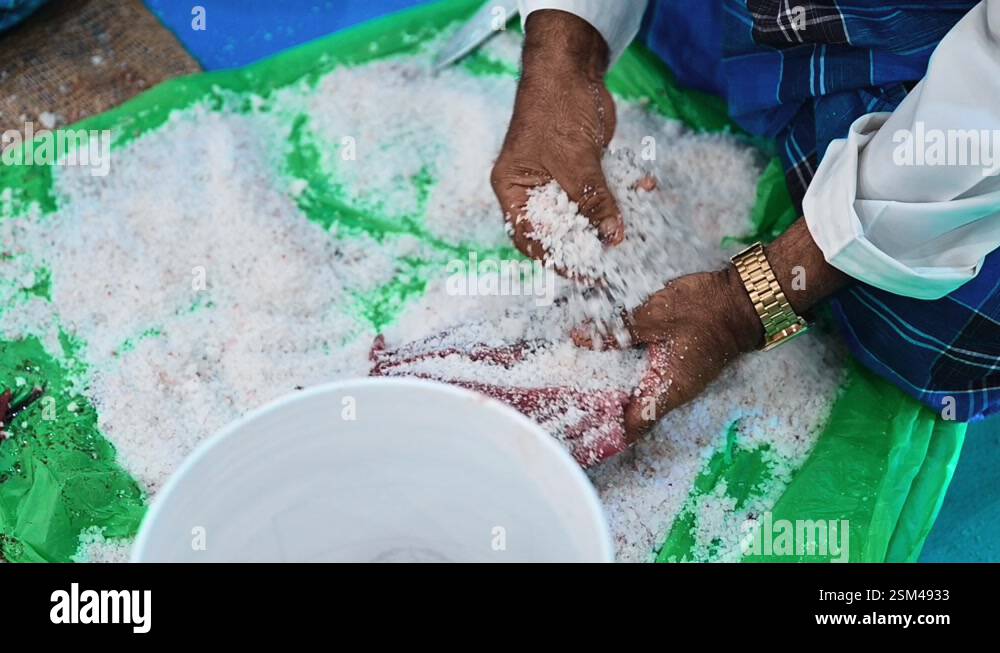 Salt fish preserve Stock Videos & Footage - HD and 4K Video Clips - Alamy