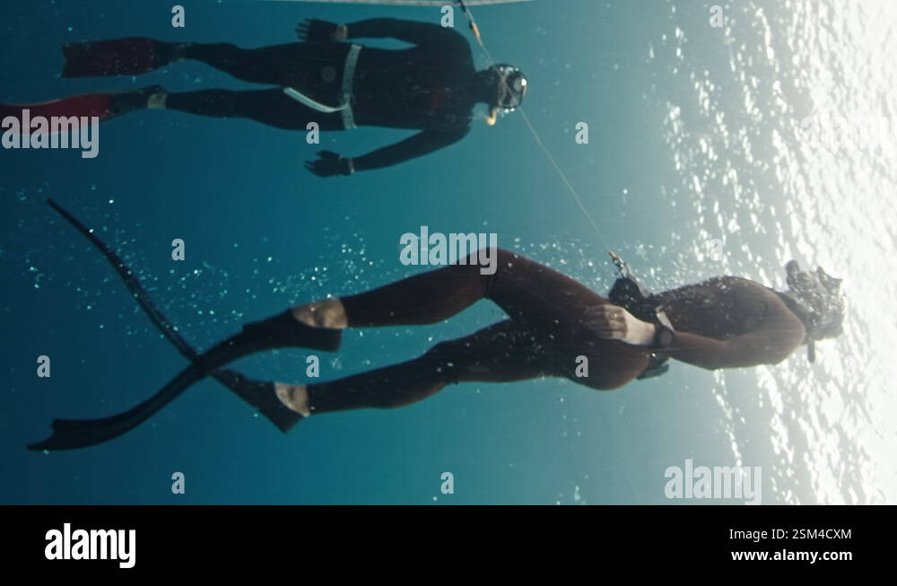 Man and woman freedivers dive along the rope and train in the sea Stock ...