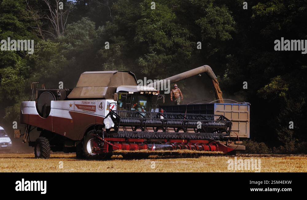 Unloading the combine harvester. Harvest season, work in the field ...