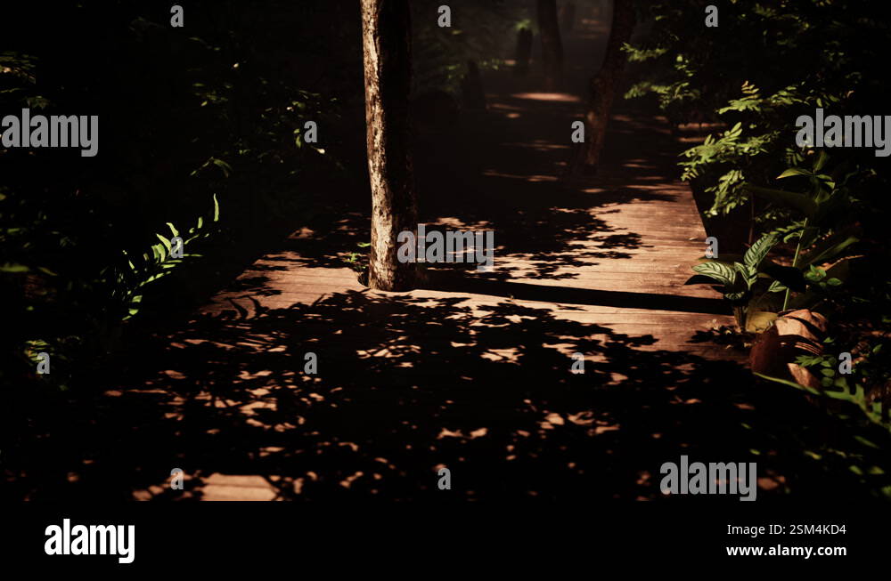 Crooked pathway Stock Videos & Footage - HD and 4K Video Clips - Alamy
