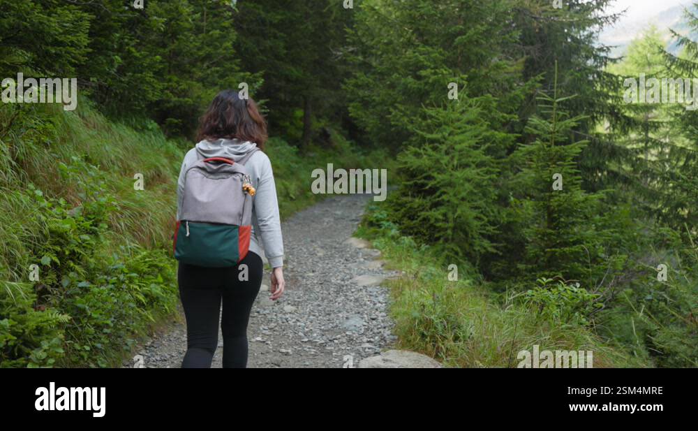 Fit hiker walks past camera while climbing rocky mountain trail Stock ...