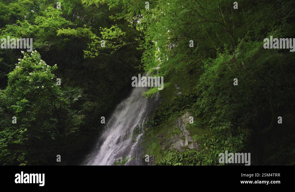 4k Tilt Reveal of Biwa no Taki Waterfall in Iya Valley of Tokushima ...
