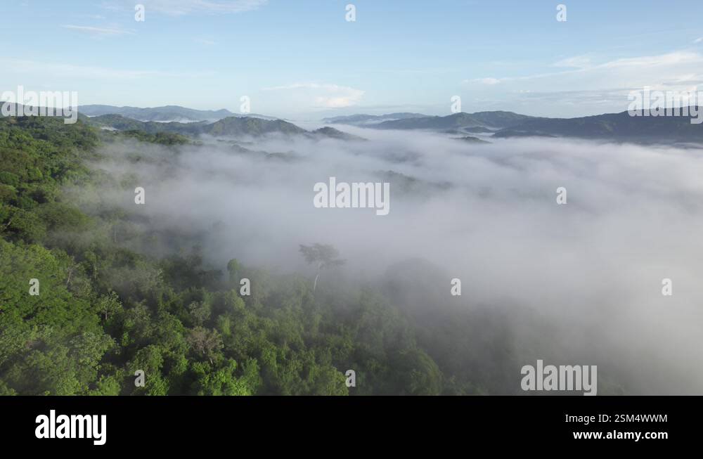 Green Forest Costa Rica Jungle With White Cloud Fog, Aerial Drone ...