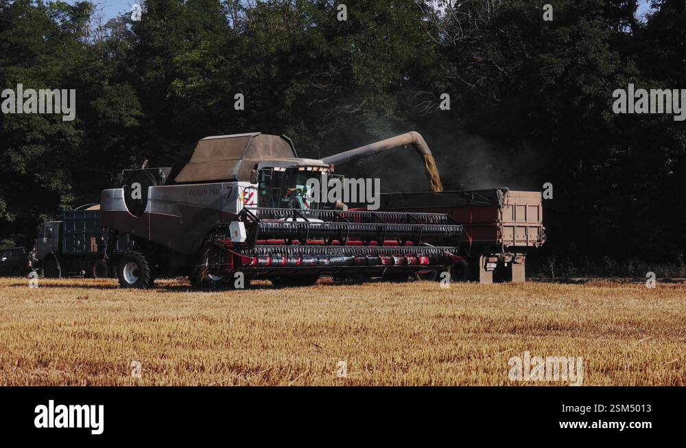 Unloading the combine harvester. Harvest season, work in the field ...
