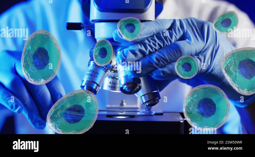 Animation of white blood cells over scientist using laboratory ...