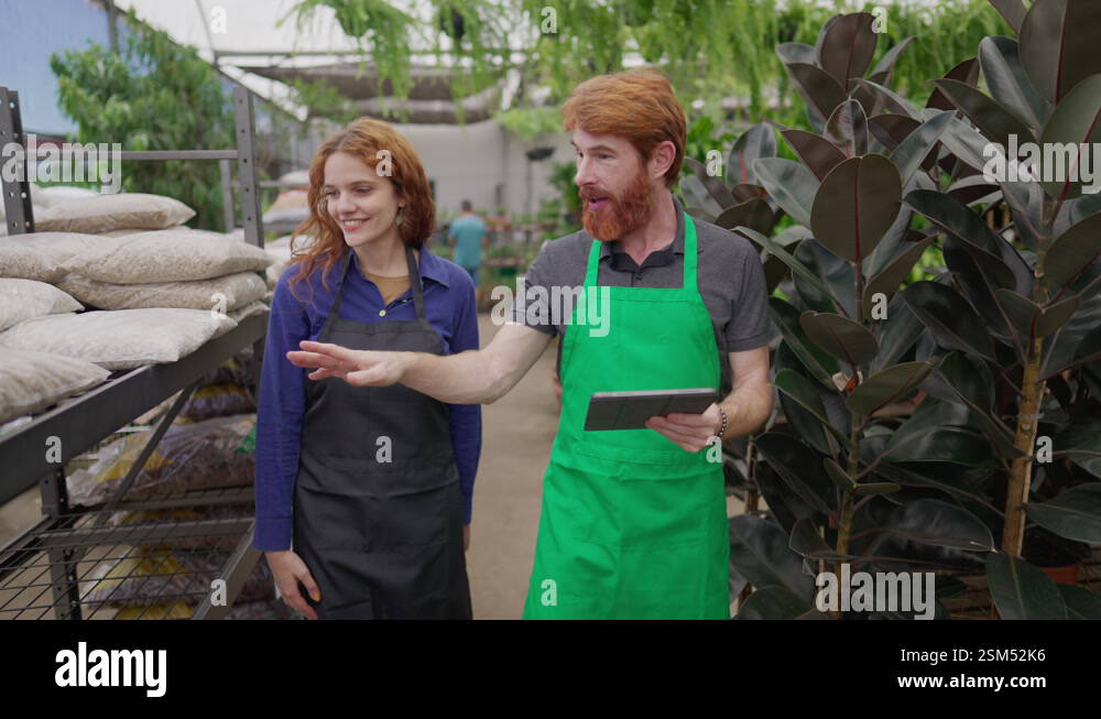 A male staff showing inventory to female colleague at local plant shop ...