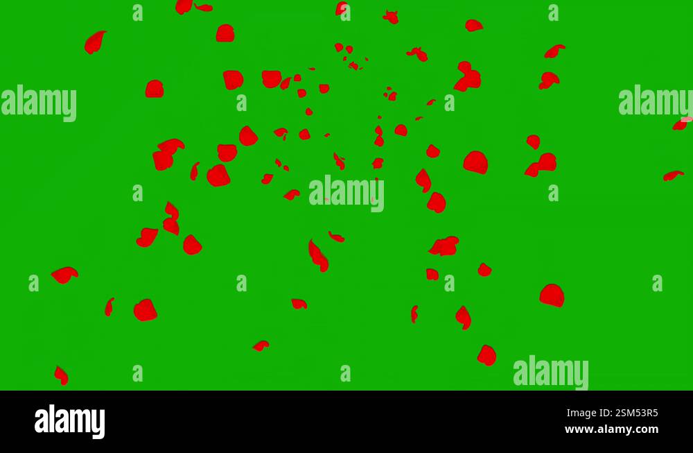 Falling red rose petals green screen background Stock Video Footage - Alamy